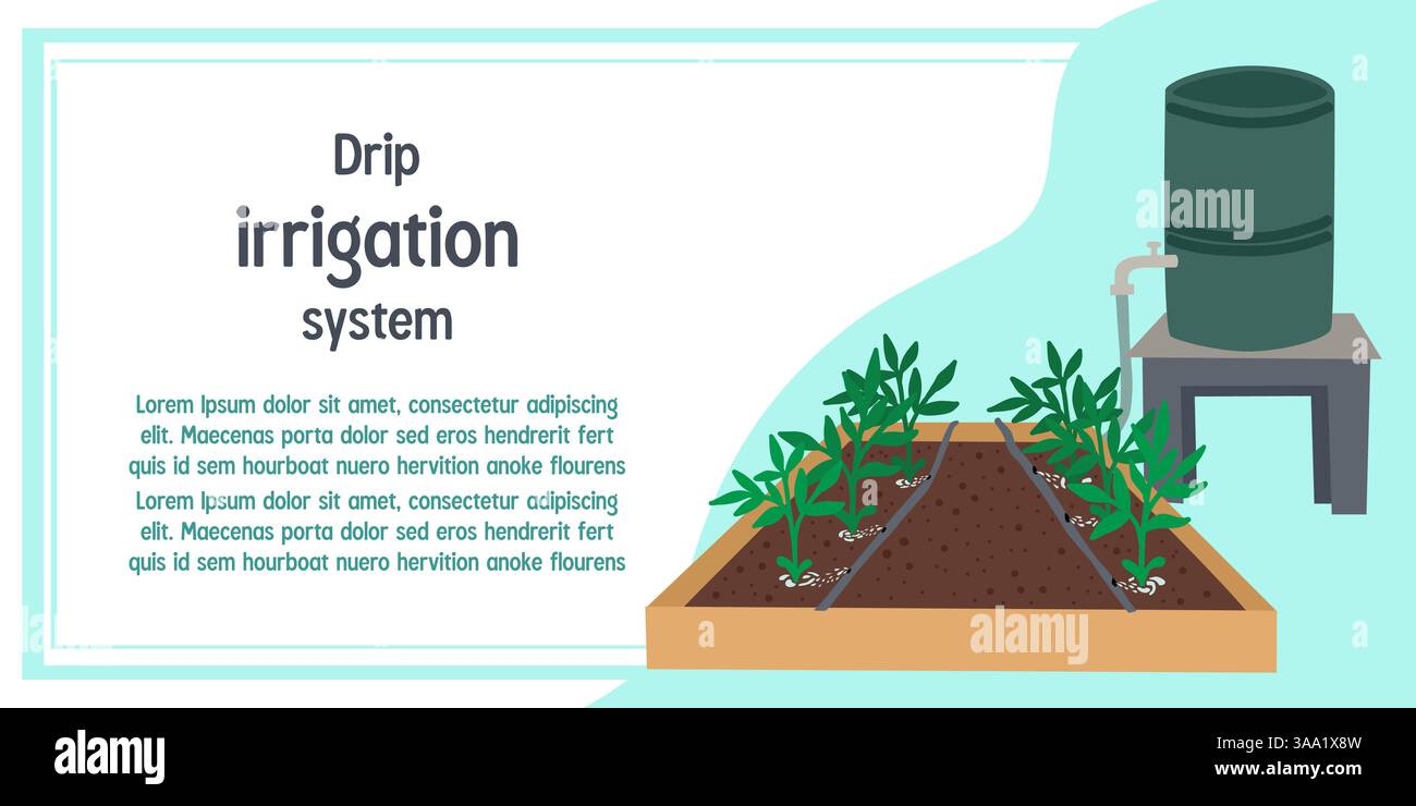 Vector illustration of a drip irrigation system featuring plants in a garden bed. Includes water ...