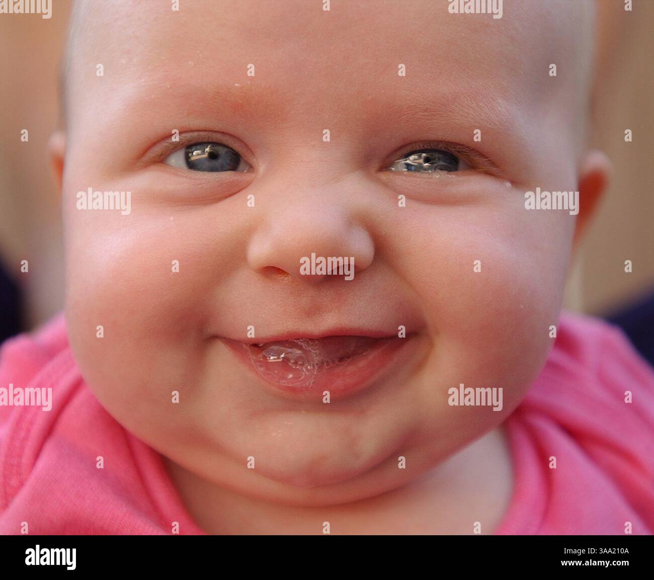 COVER SERIES 3 - Sadie, almost 12 weeks old, is the daughter of Ellen ...