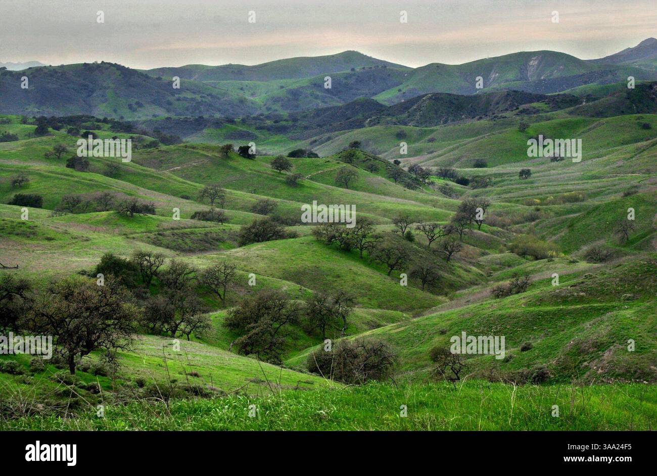 This is a portion of Ahmanson Ranch land that was given by Washington ...