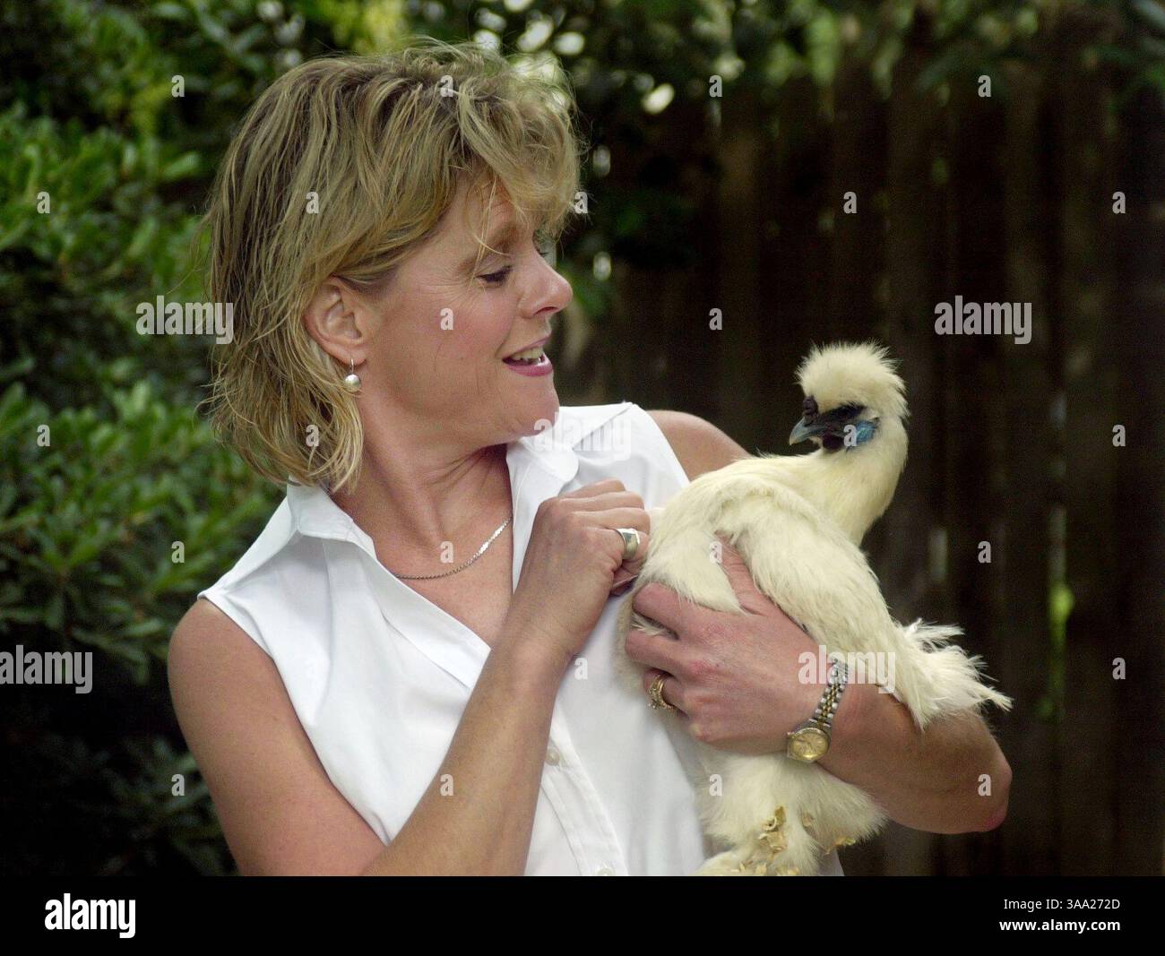 SECONDARY - Deborah Brown (cq, of Fair Oaks) nestles Bluebell, a silkie ...