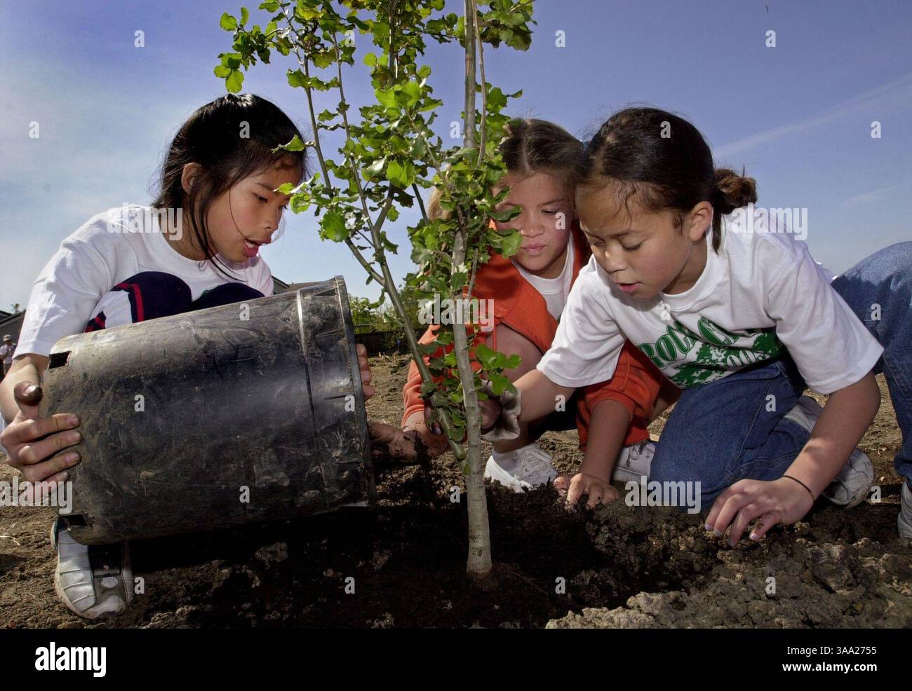 From left, Ann Diep (cq), 10, Brittany Kelley (cq), 10, and Momi ...