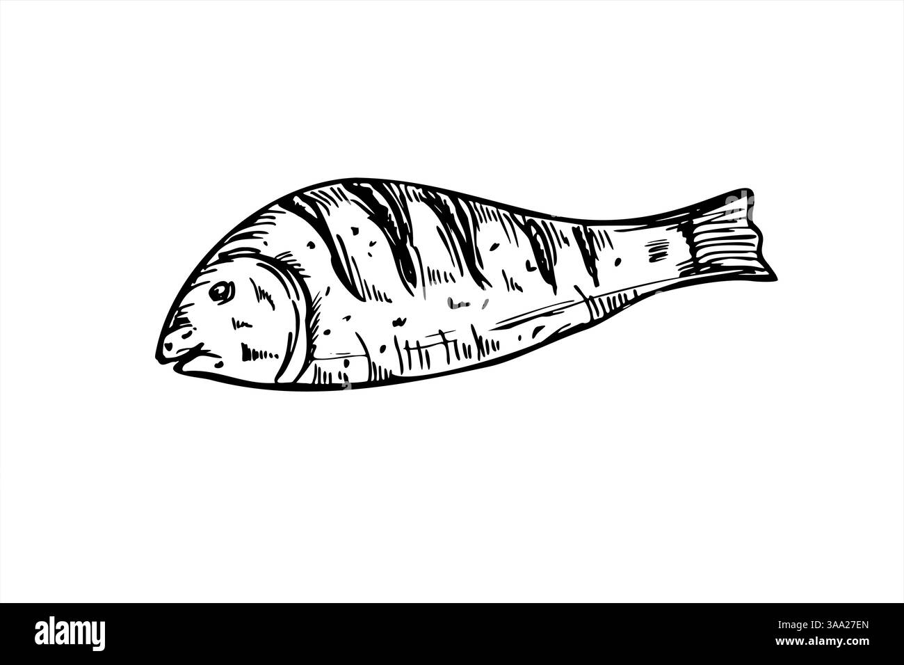 Whole grilled Mediterranean fish line art black ink sketch. Monochrome ...