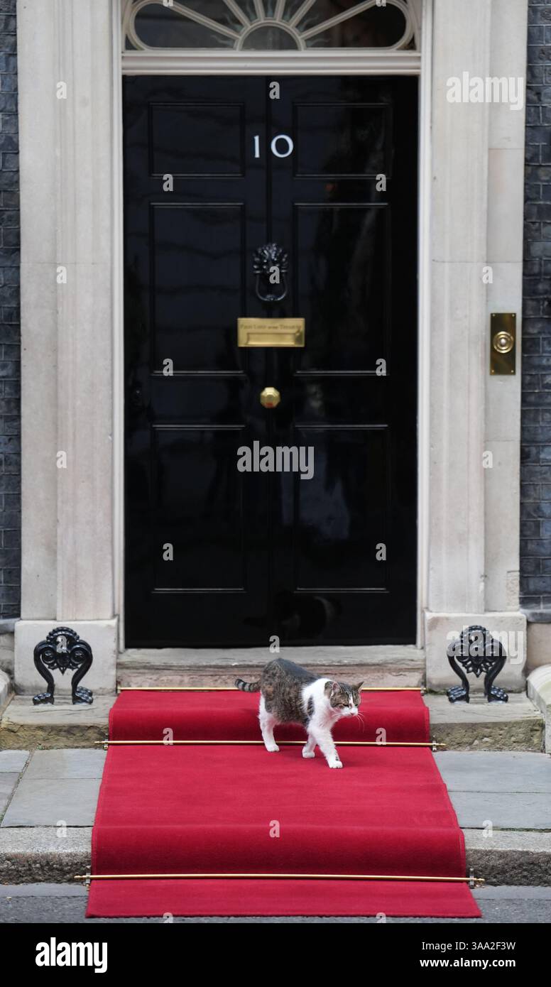 Chief Mouser to the Cabinet Office Larry the cat on the red carpet in ...
