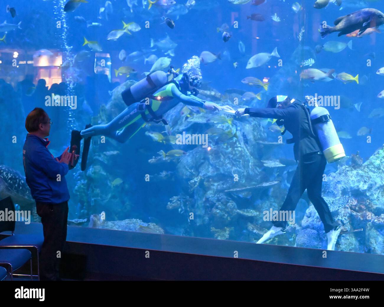 An "underwater induction ceremony" is held for new zookeepers to ...