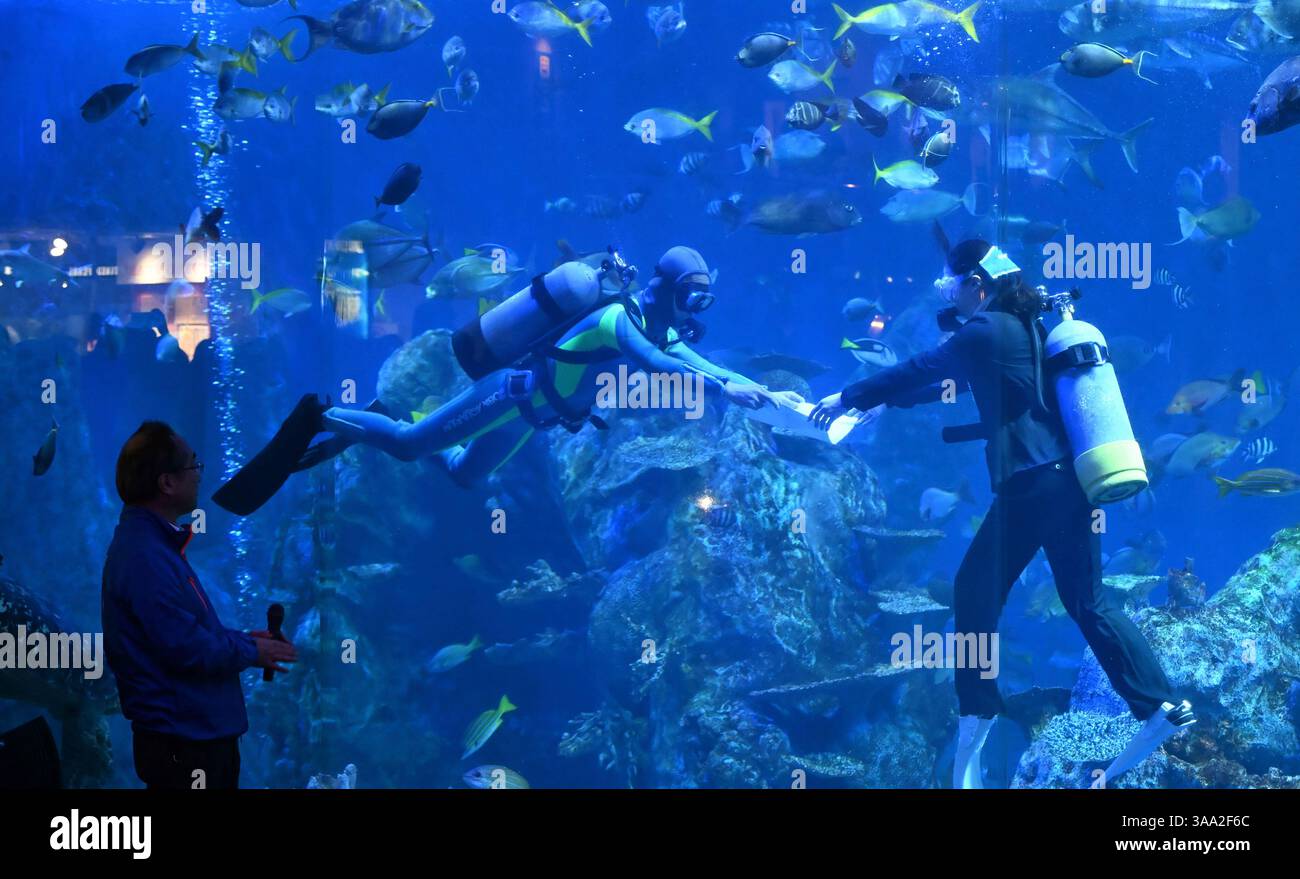 Five new zookeepers, dressed in suits and carrying air tanks, dive into ...