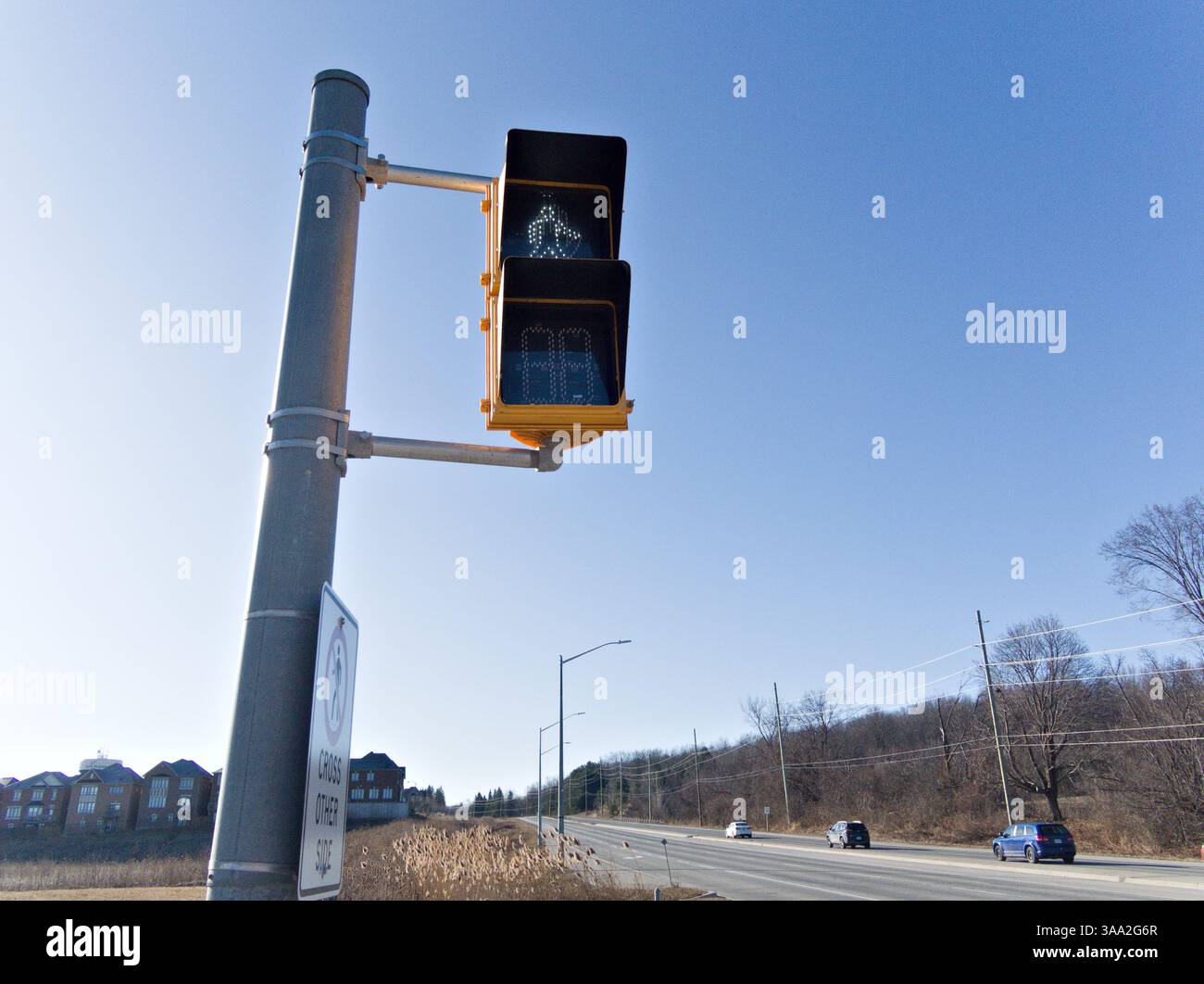 The image features a pedestrian crossing signal mounted on a metal pole ...