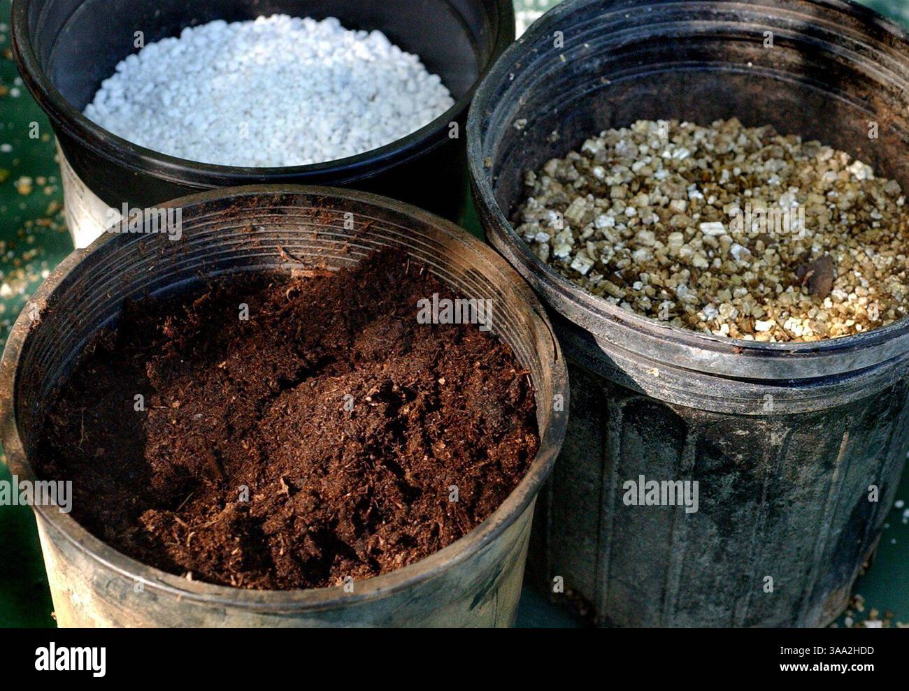 Cuttings process potting soil hi-res stock photography and images - Alamy