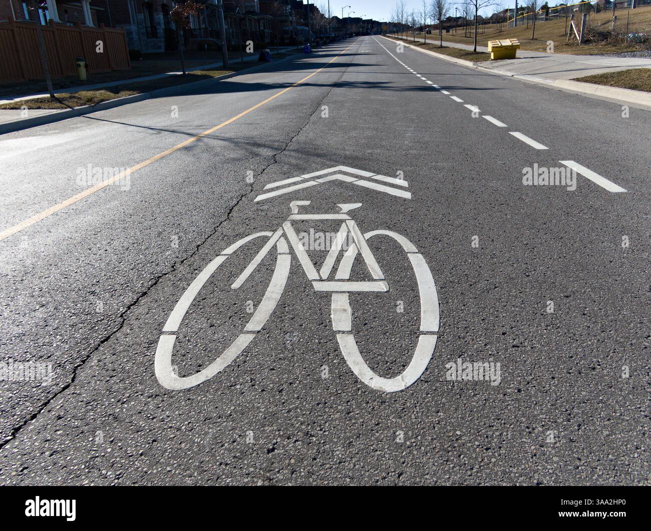 Visible bike lane symbols enhance community safety, clearly defining ...