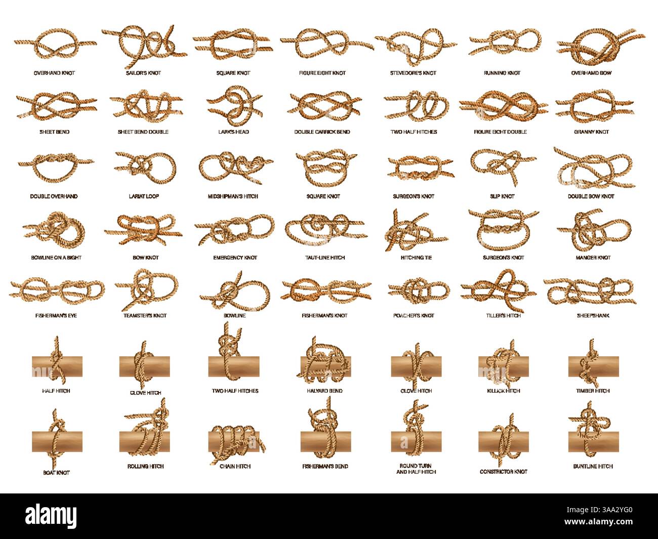Types of knots Stock Vector Images - Alamy