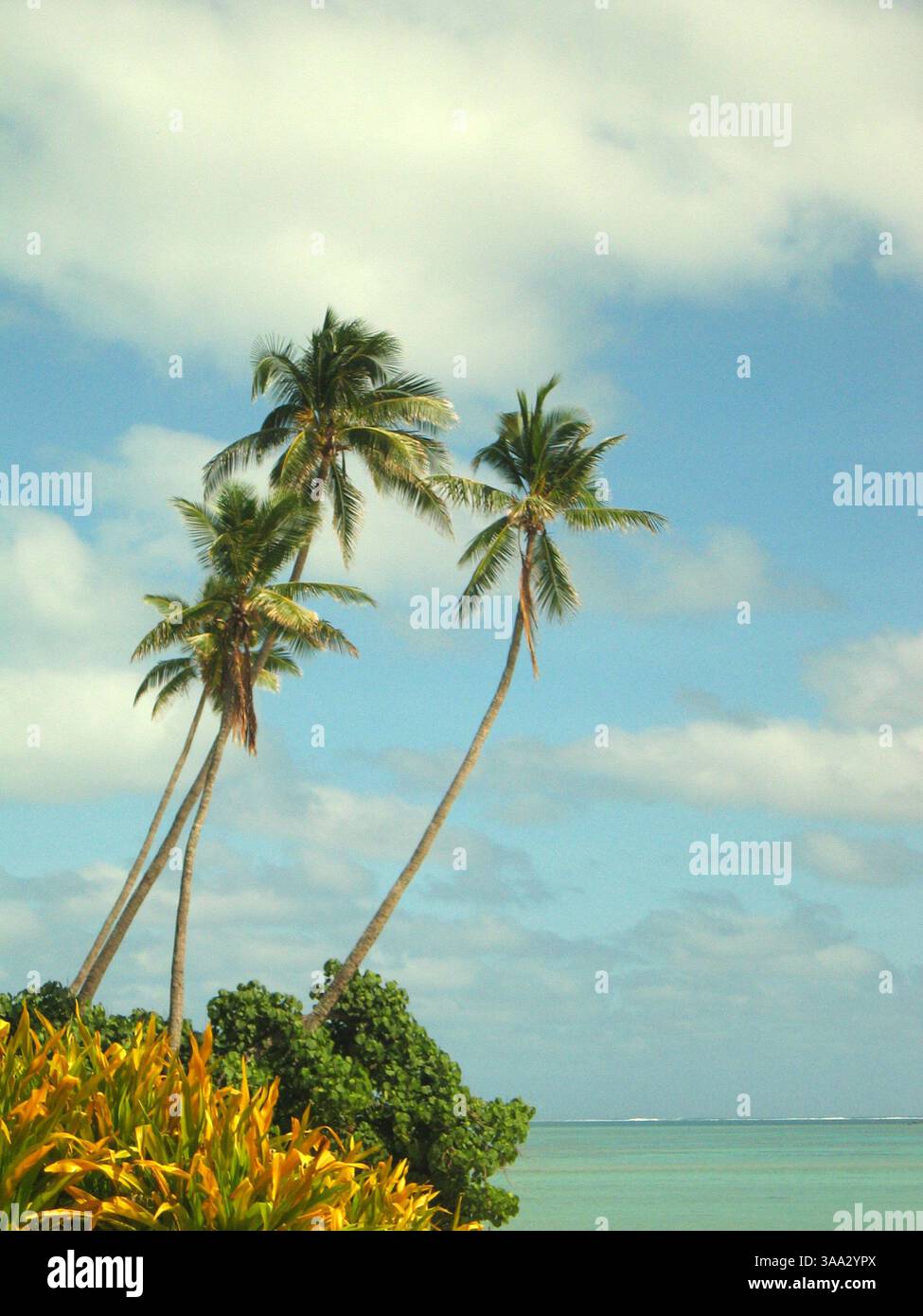 May 06, 2005; Aitutaki, Cook Islands; The island of Aitutaki is a 45 ...
