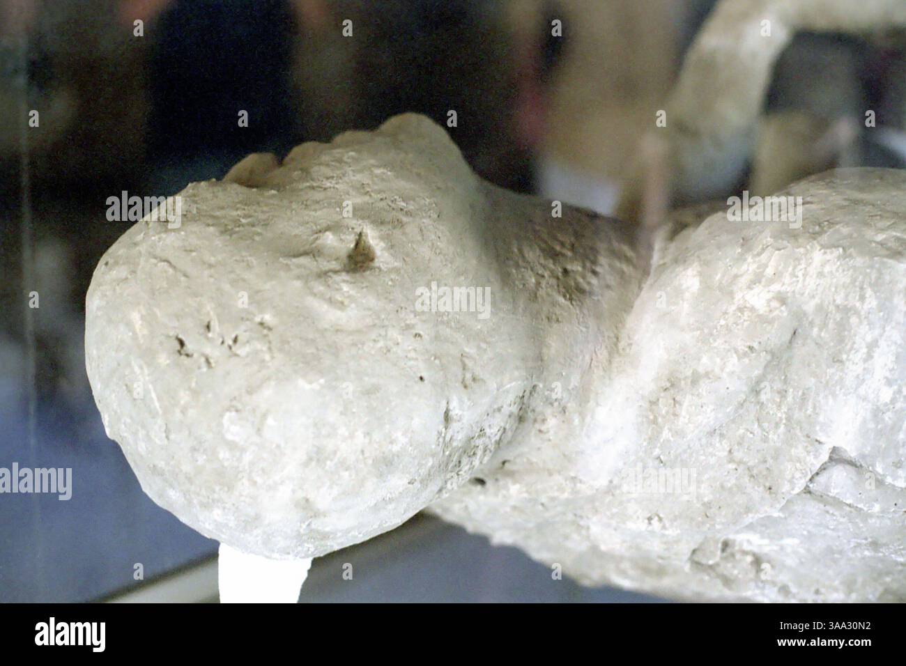 Jul 28, 2006; Pompeii, ITALY; A plaster cast of a citizen of the ...