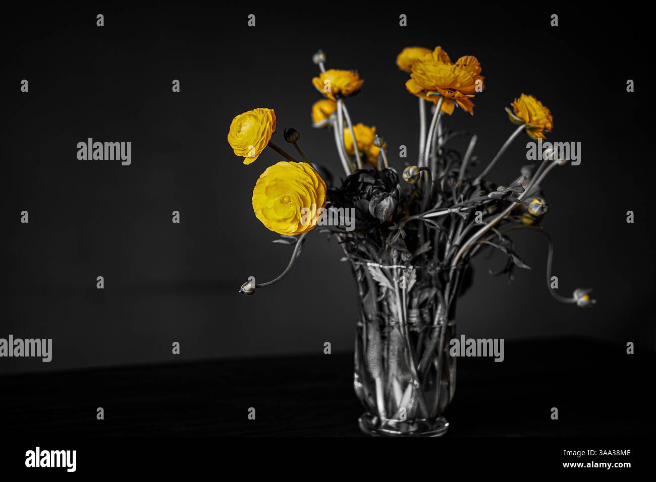 aesthetics with selective colorization Stock Photo - Alamy