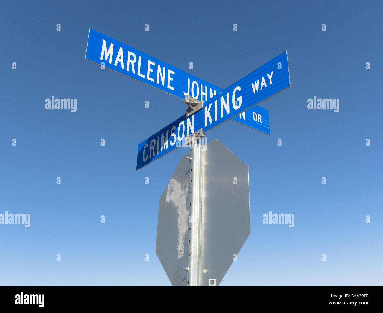 One way signs on a post isolated on white transparent, New York city ...