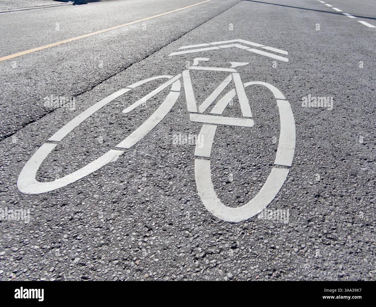 Road markings prominently highlight designated bike lanes, encouraging ...
