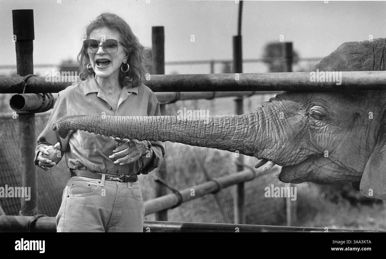 Actress Amada Blake, best known for her role as Miss Kitty on the ...