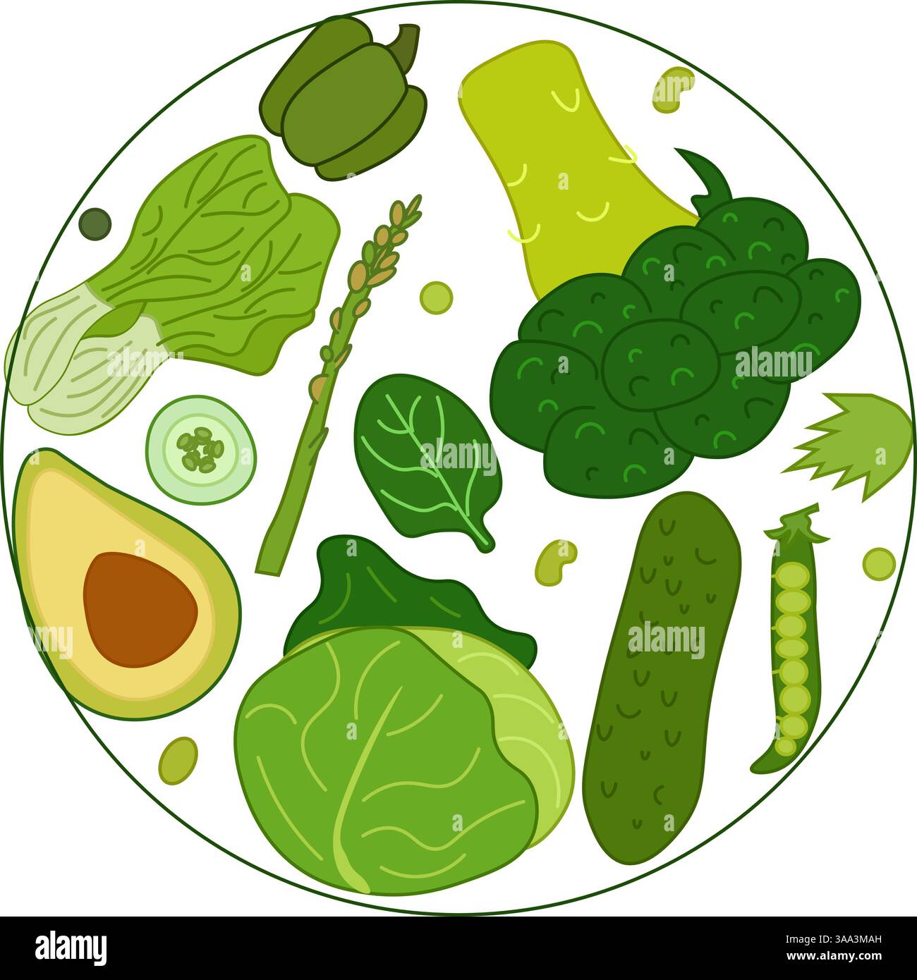 Raw food green round Stock Vector Images - Alamy