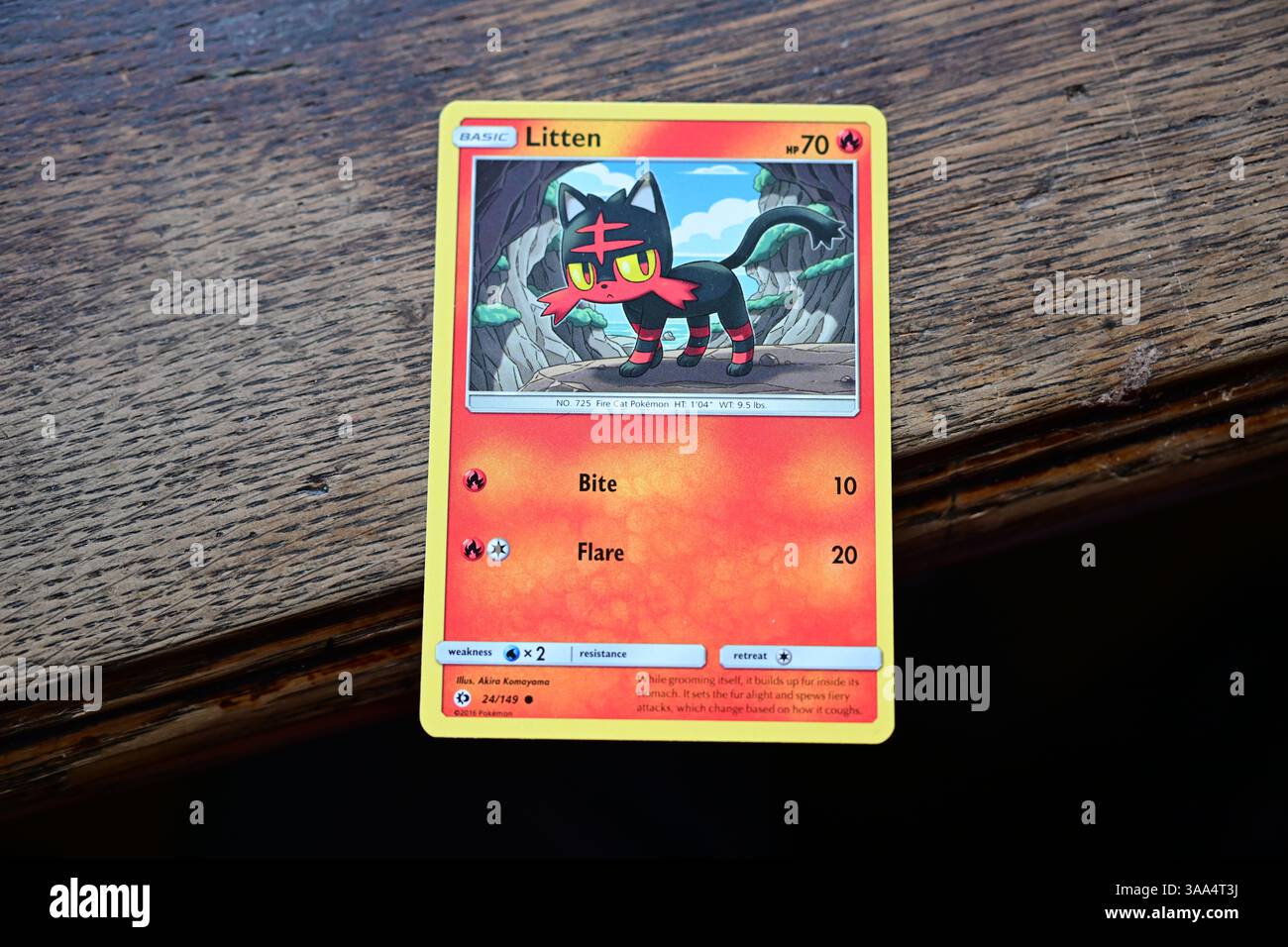 Litten hi-res stock photography and images - Alamy