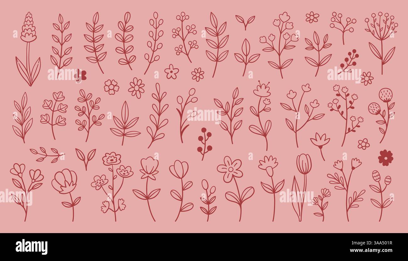 Whimsy flower set. Collection of various flower branch leaf designs on ...