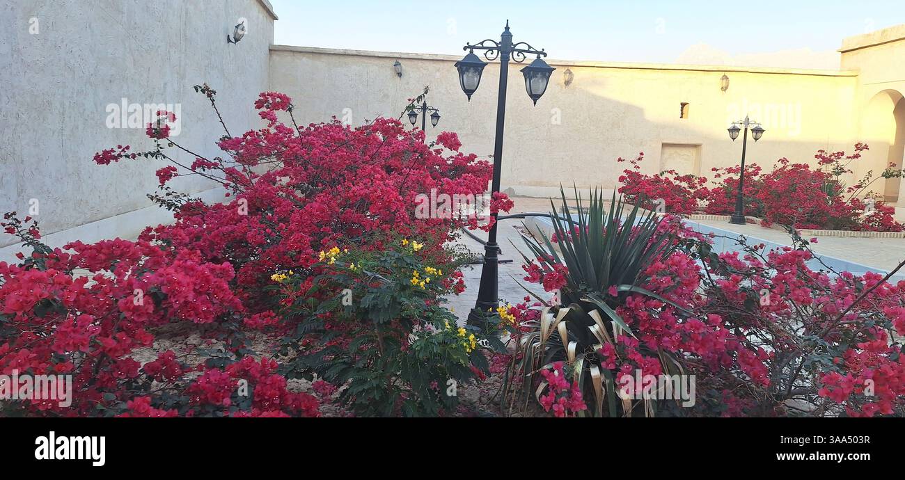Option 1 (Descriptive): Kalat Ahram Castle, a well-preserved example of ...