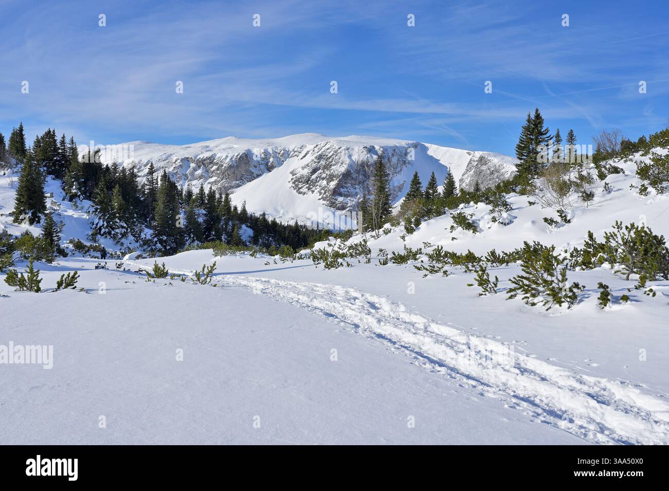 Frosty hiking trail hi-res stock photography and images - Alamy