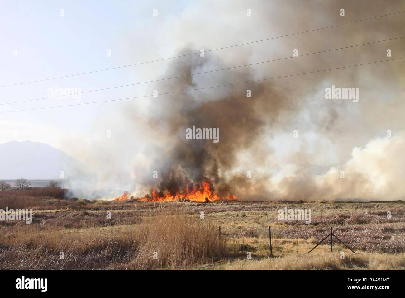 This image provided by Cal Fire San Bernardino Unit shows the Silver ...