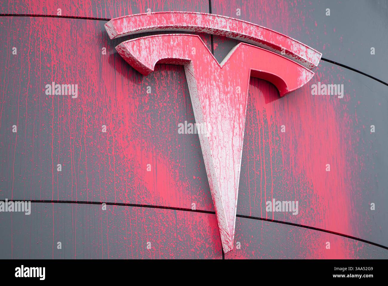 Pink spray paint is seen on the Tesla logo of the Tesla Service and ...