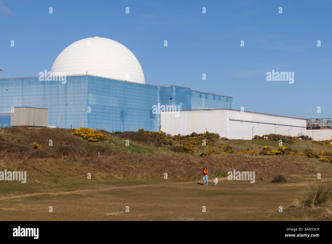 Sizewell B nuclear power station located next to the forthcoming ...