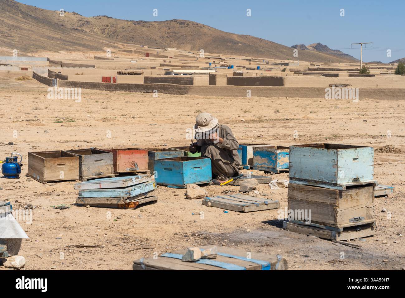 bee apiary on the Herat-Kandahar highway Stock Photo - Alamy