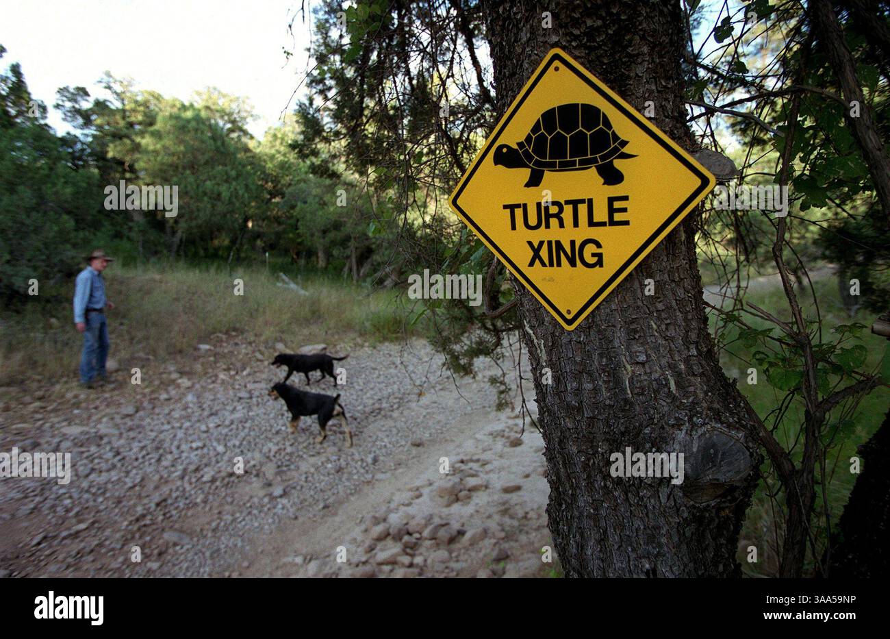 Sonoran chub hi-res stock photography and images - Alamy