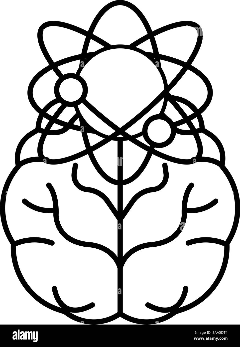 Brain structure illustration Black and White Stock Photos & Images - Alamy