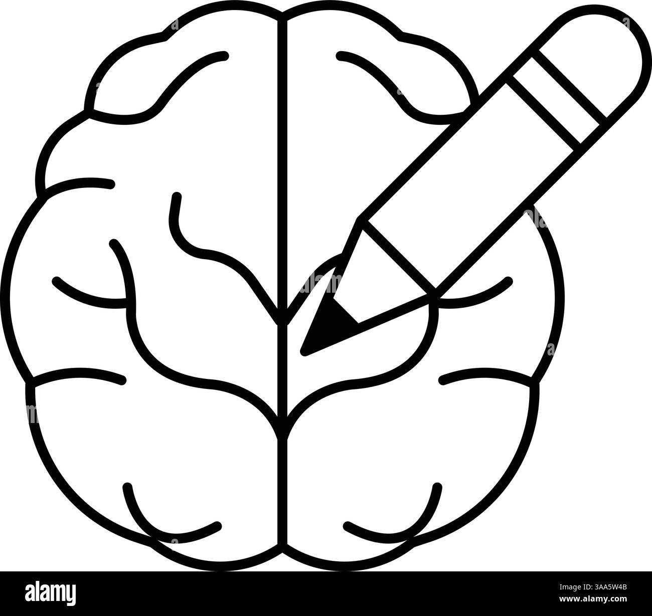 Cerebellum in human brain Stock Vector Images - Alamy