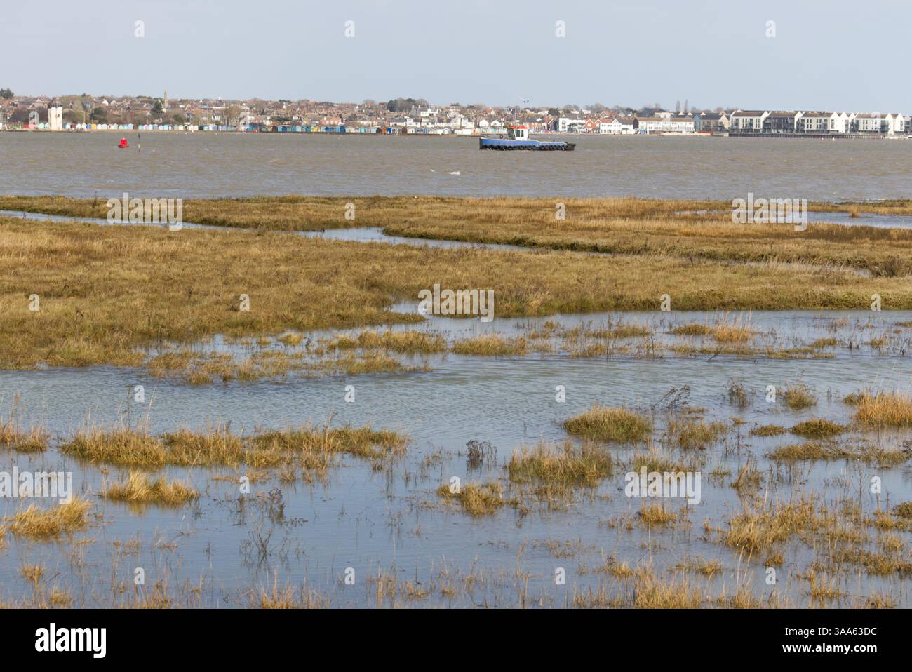 View over the salt marsh of the Colne estuary from East Mersea on ...