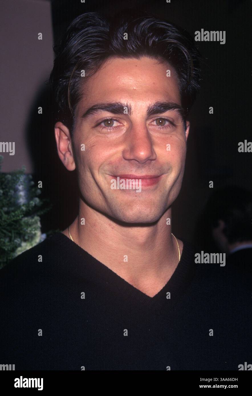 Jan 26, 1999; New Orleans, LA, USA; MICHAEL BERGIN at NATPE Stock Photo ...