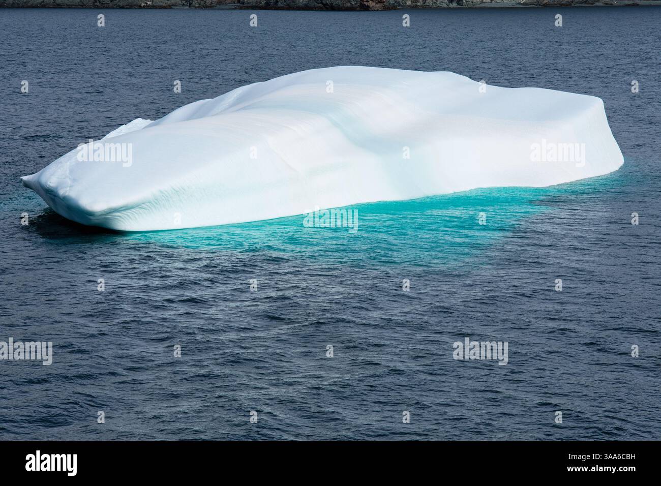 Iceberg floating in Arsuk Fjord, Greenland, with the light blue ...
