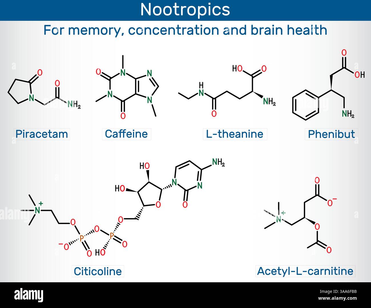 Nootropics for memory and concentration. Citicoline, L-theanine ...