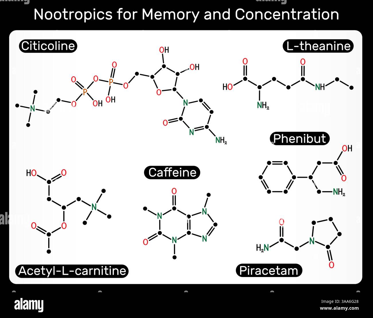 Nootropics for memory and concentration. Citicoline, L-theanine ...