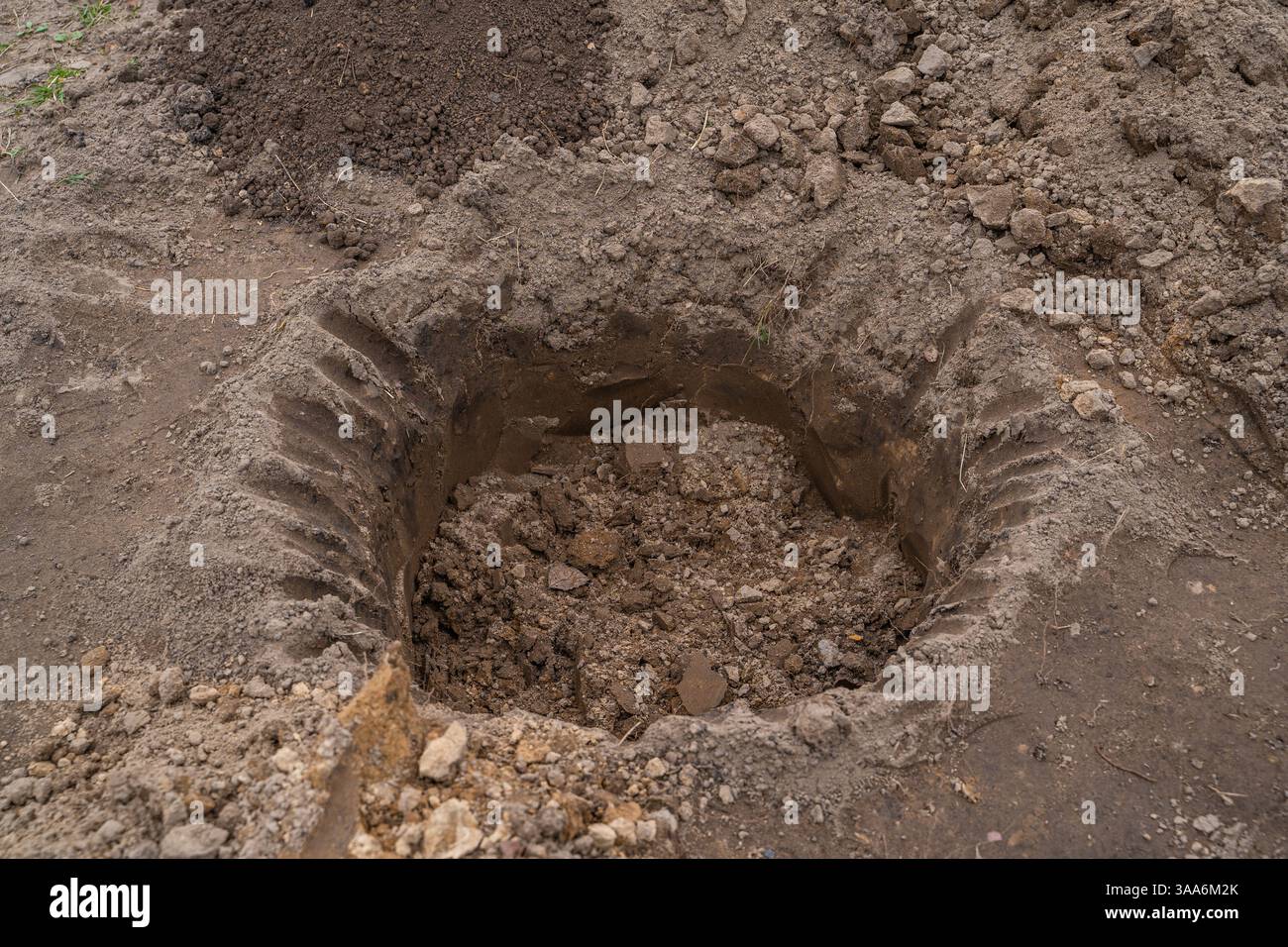 Planting tree process hi-res stock photography and images - Alamy