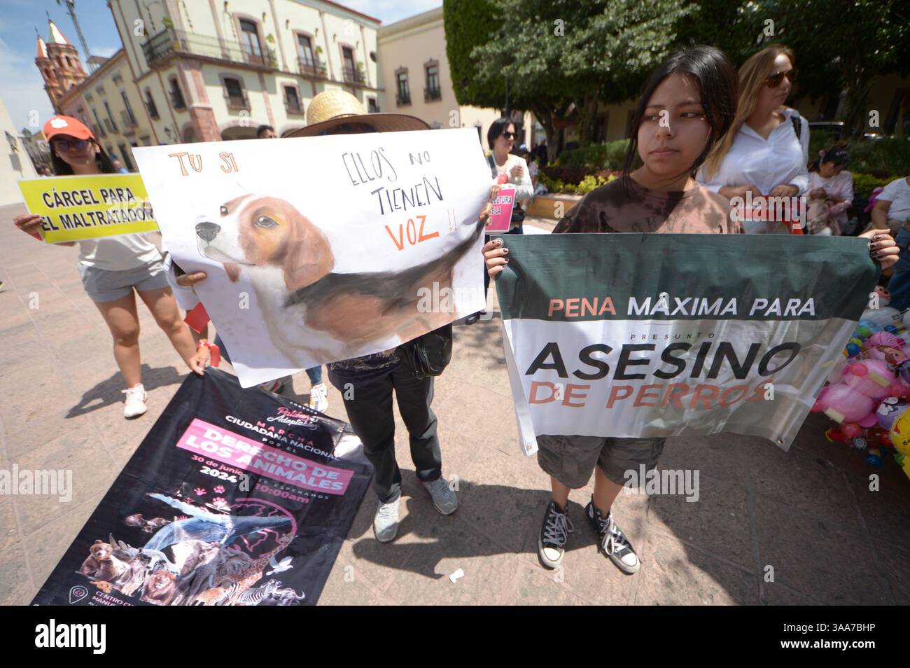 People from various civil associations that support animals, join the ...