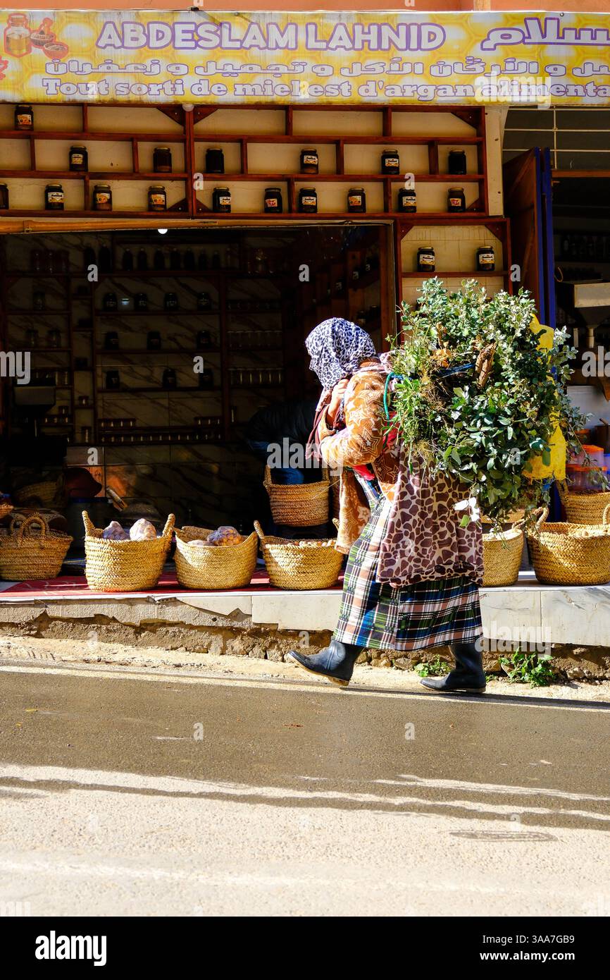 31 DEC 2024 - Ourika Valley, Morocco - A local elderly lady in ...