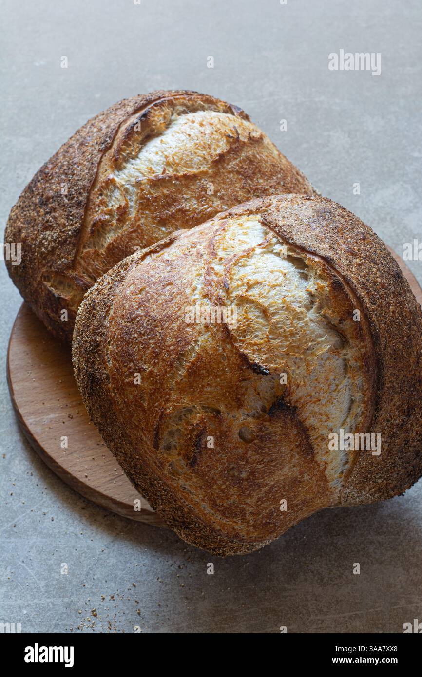Fresh crusty sourdough bread with the addition of whole wheat flour on ...