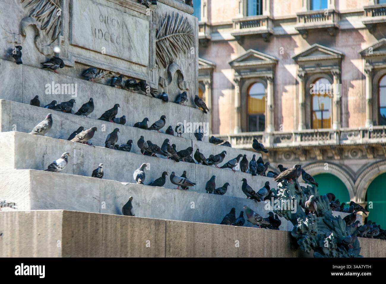 A large group of pigeons are sitting on a stone structure in Milani ...