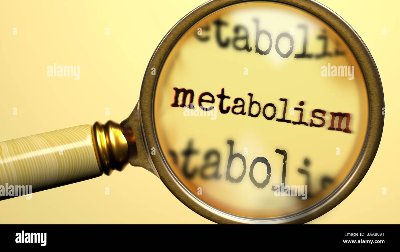 Metabolism under magnifying glass. Thorough analysis and inspection of ...