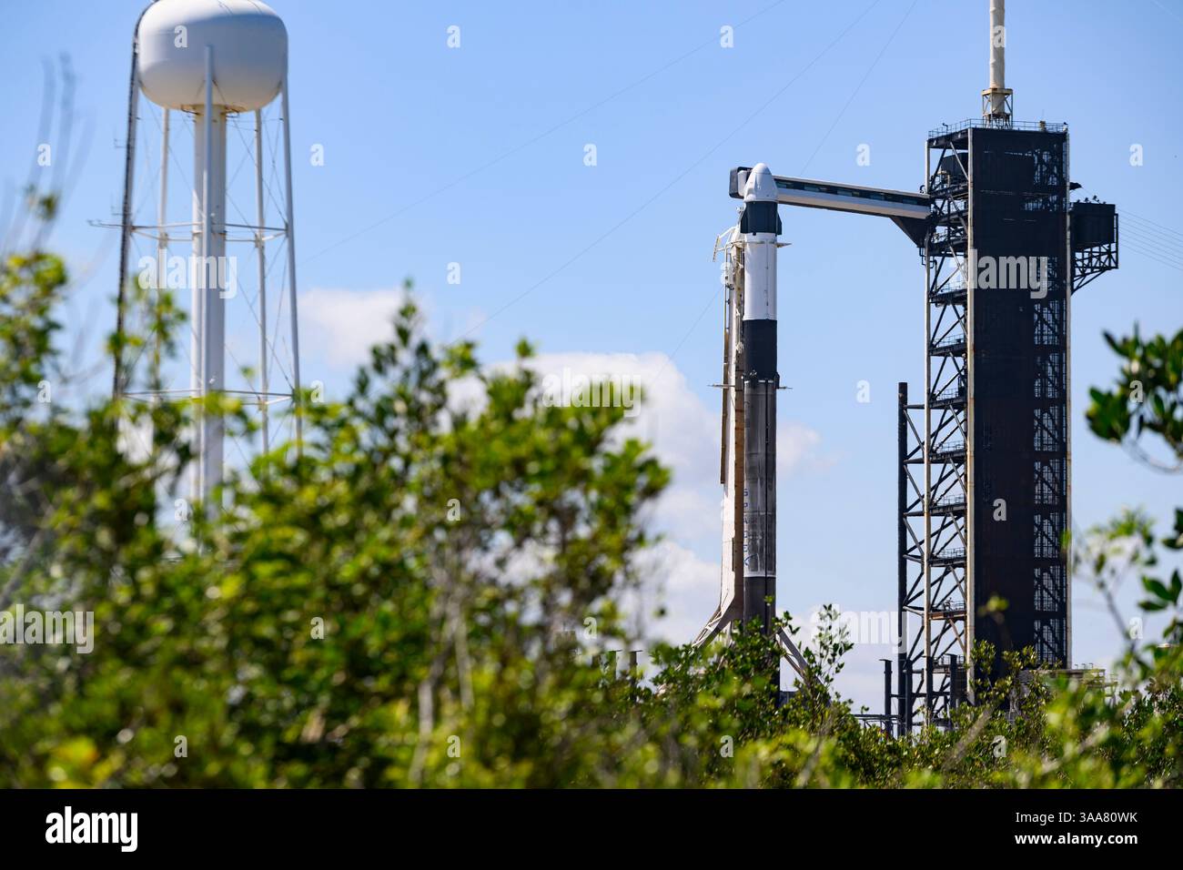 Merritt Island, Florida, USA. 31st Mar, 2025. A SpaceX Falcon 9 rocket ...