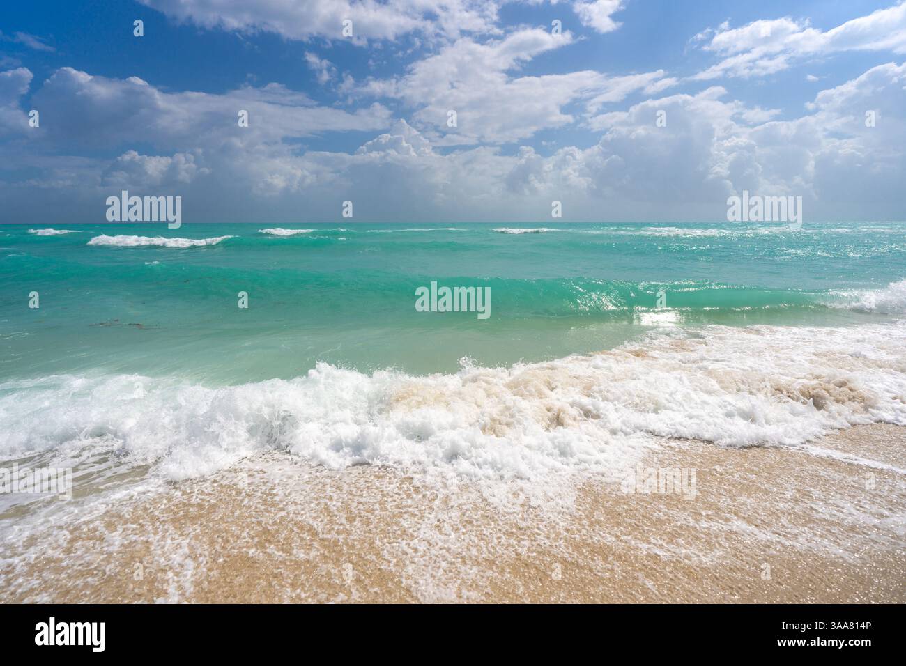 Sea beach sand. Scenic sea beach backdrop. Paradise ocean view. Foamy ...