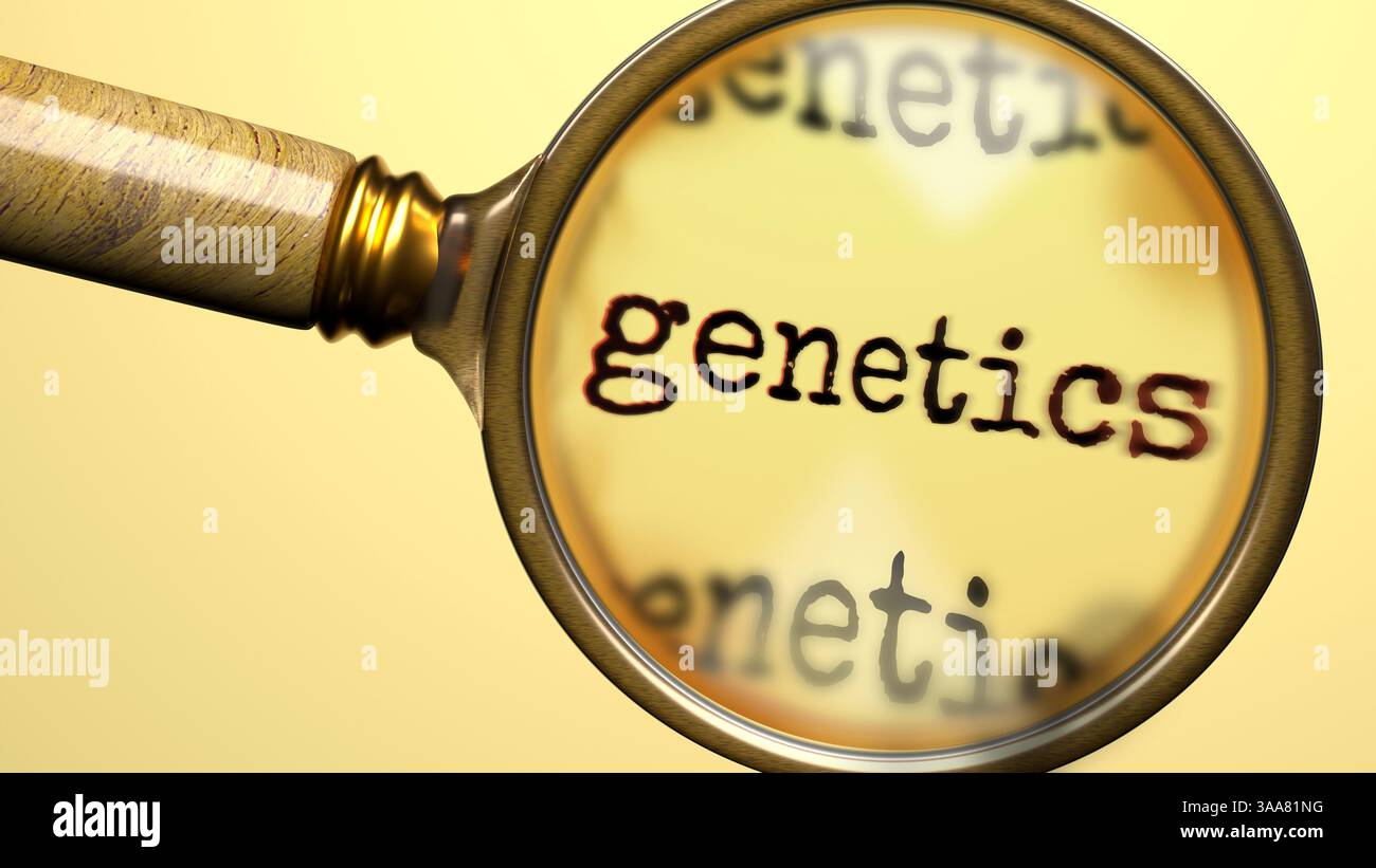 Genetics under magnifying glass. Thorough analysis and inspection of ...