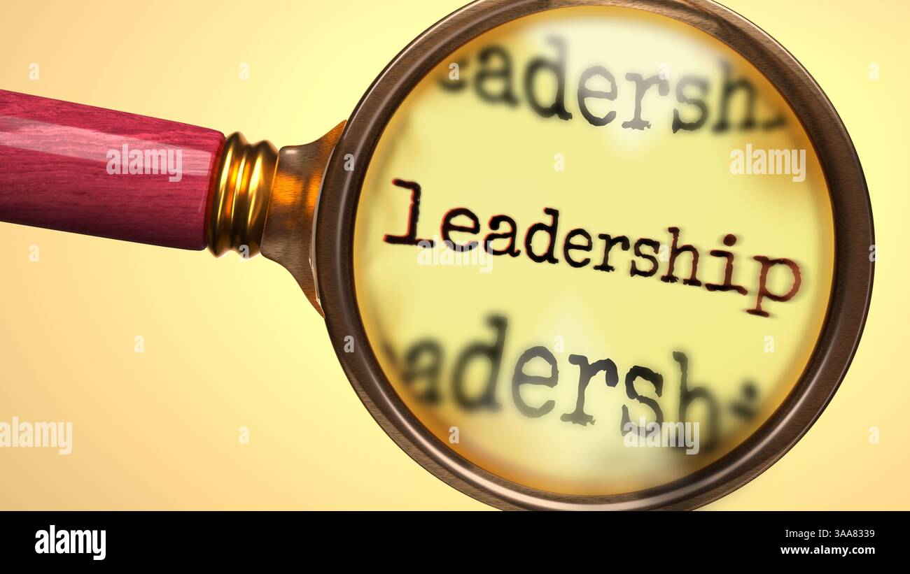 Leadership under magnifying glass. Thorough analysis and inspection of ...