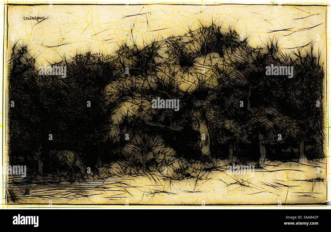 Swirling forms of trees hi-res stock photography and images - Alamy