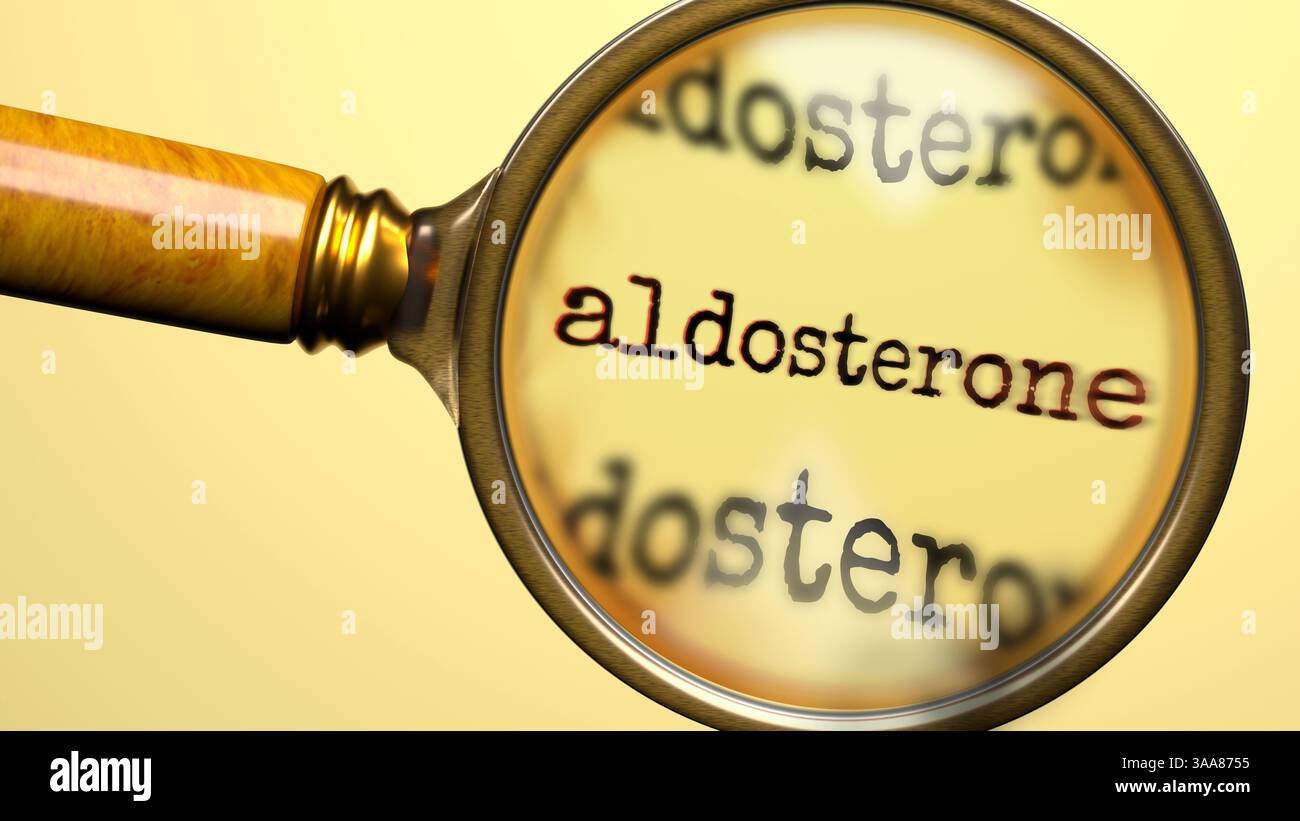 Aldosterone under magnifying glass. Thorough analysis and inspection of aldosterone. Taking a ...