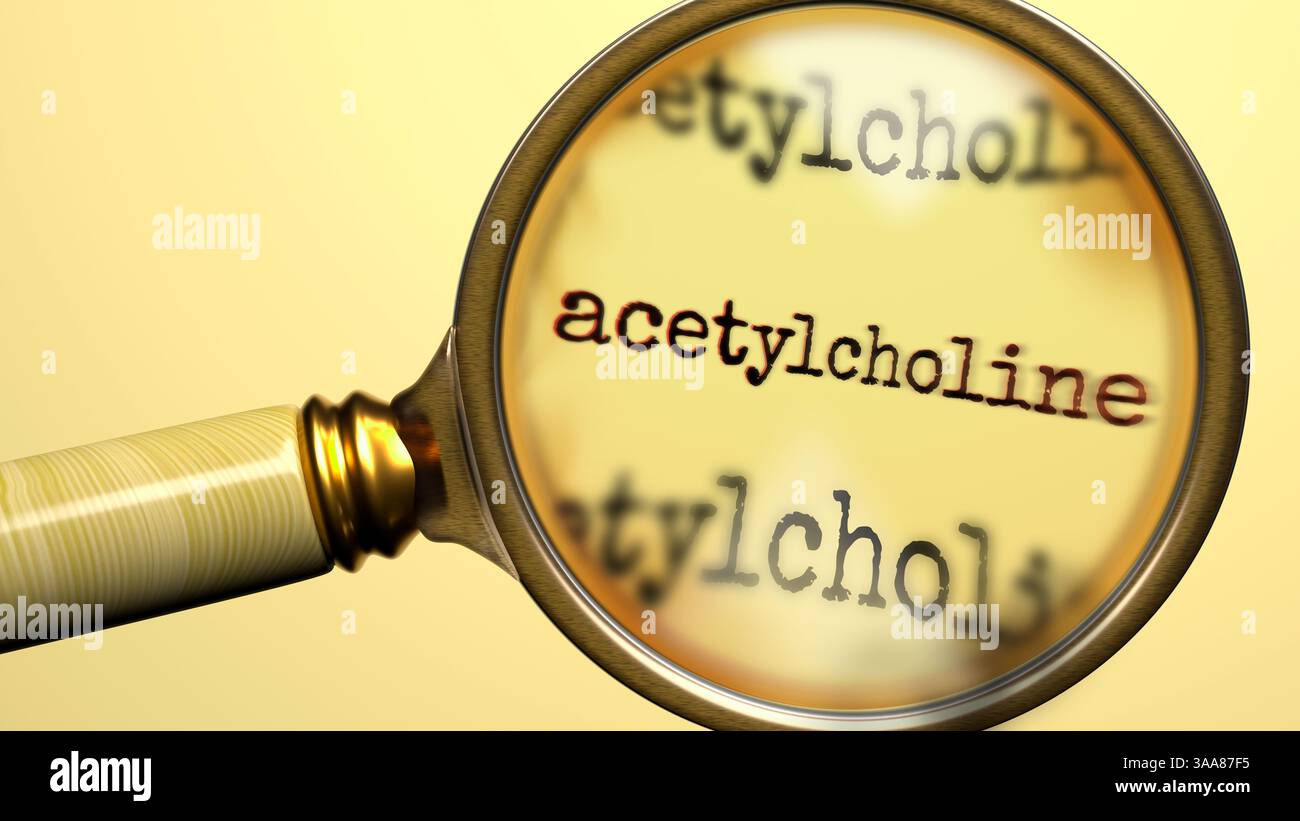 Acetylcholine under magnifying glass. Thorough analysis and inspection ...