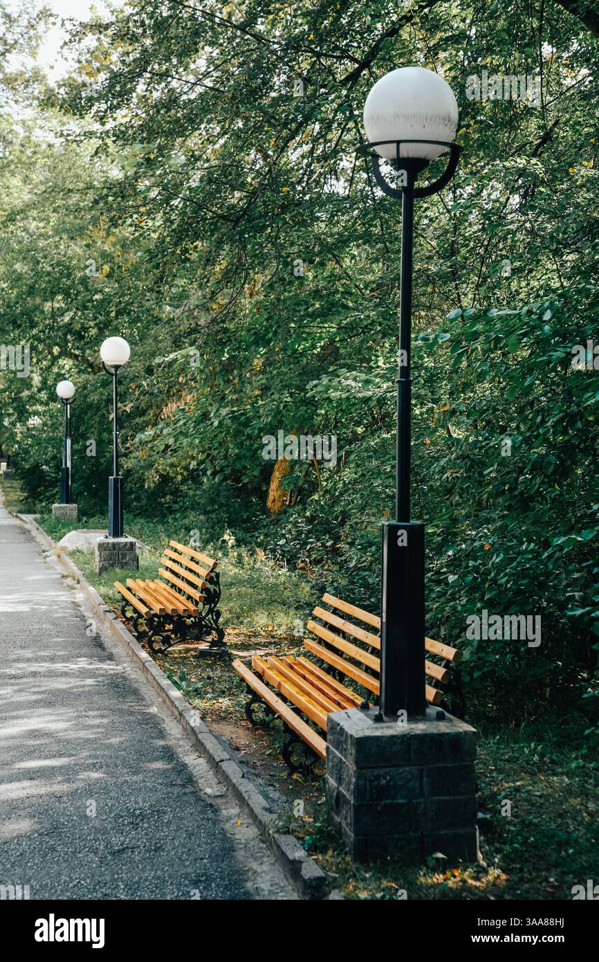 Two benches are on the sidewalk next to two street lamps. The lamps are ...